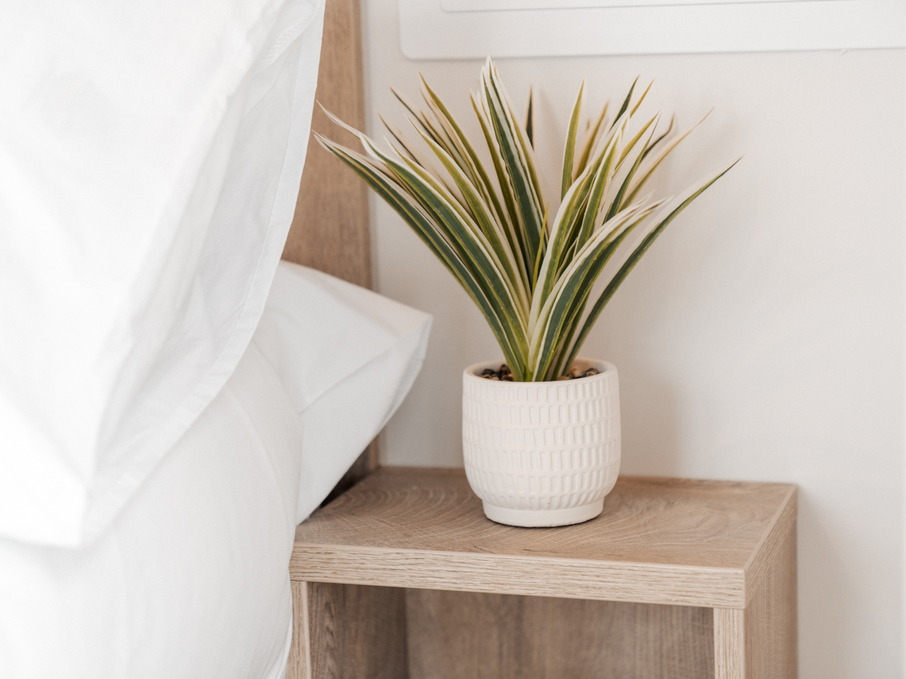 Homepage | YourTRIBE